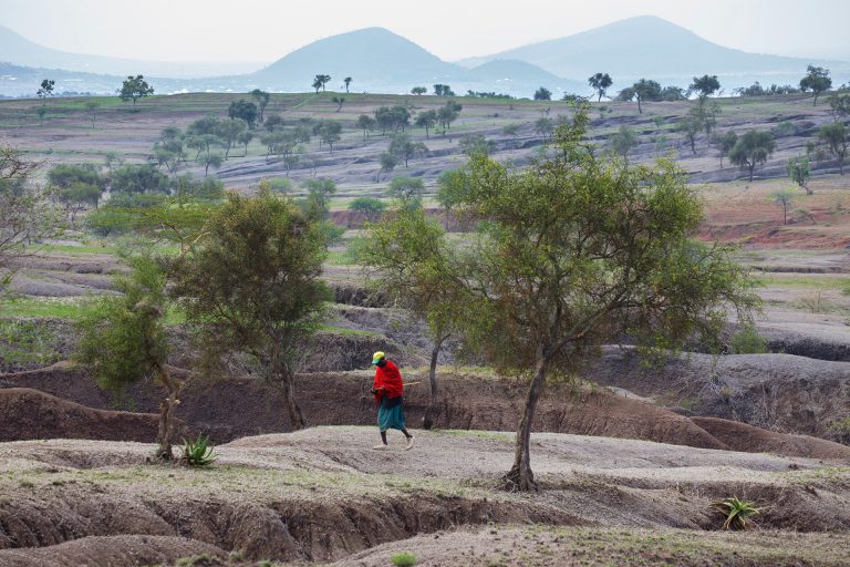 Carey Marks - Photography | Solo Maasai Walks. Using Mobile Phone Deep ...