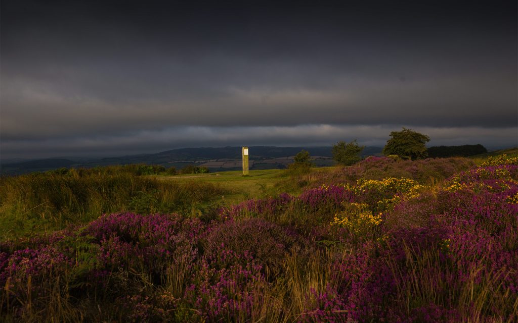 Carey Marks - Photography | Quantock Hills. Area of Outstanding Natural ...